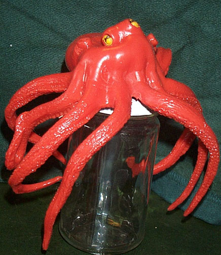 Sea and Fresh Water Animal Replicas